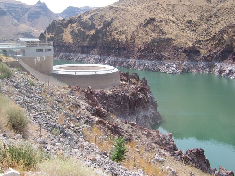 2014 | Riwa's Library